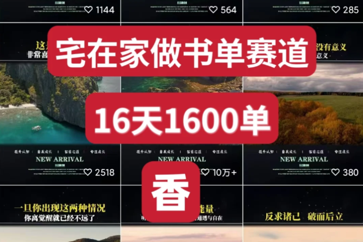 书单号副业逆袭实战：AI+银发经济撬动视频号百万收益 – 长风网创